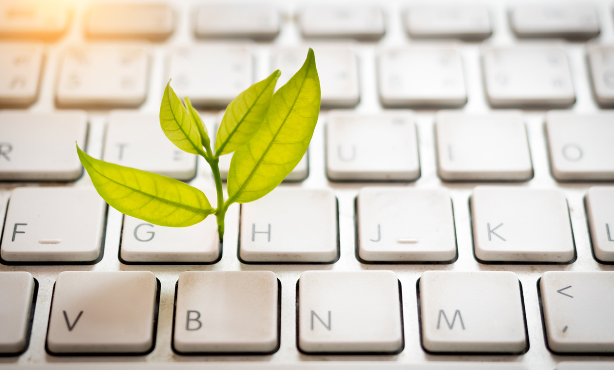 L’informatique verte... moins branchée ? | Espace des sciences