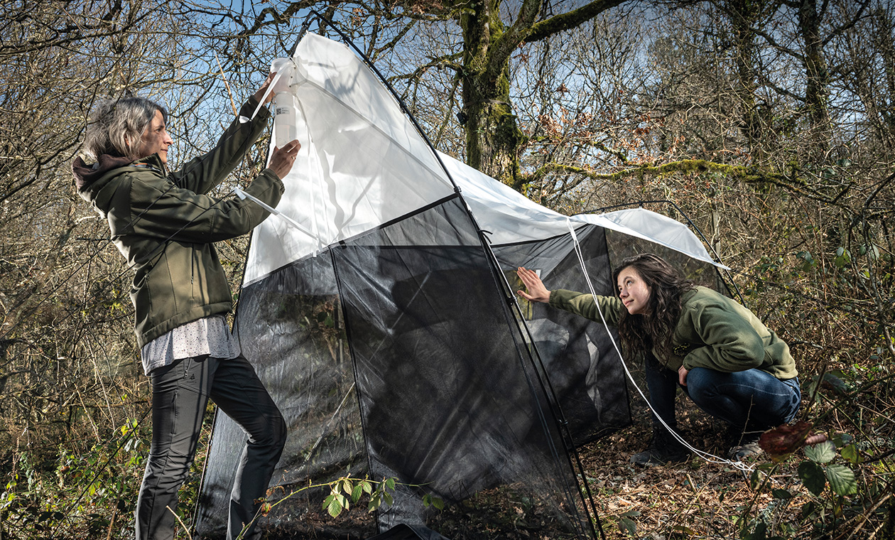 Une carte mondiale de la biodiversité | Espace des sciences