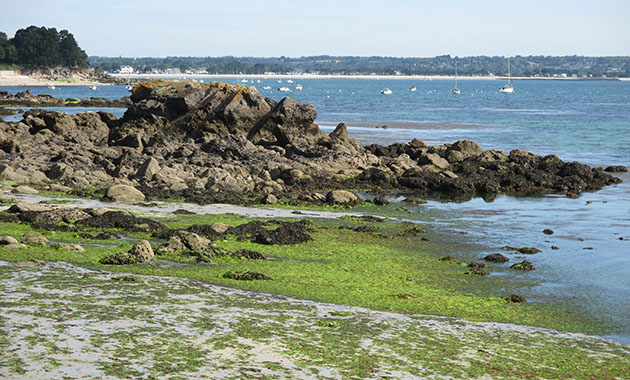 Des solutions préventives existent | Espace des sciences