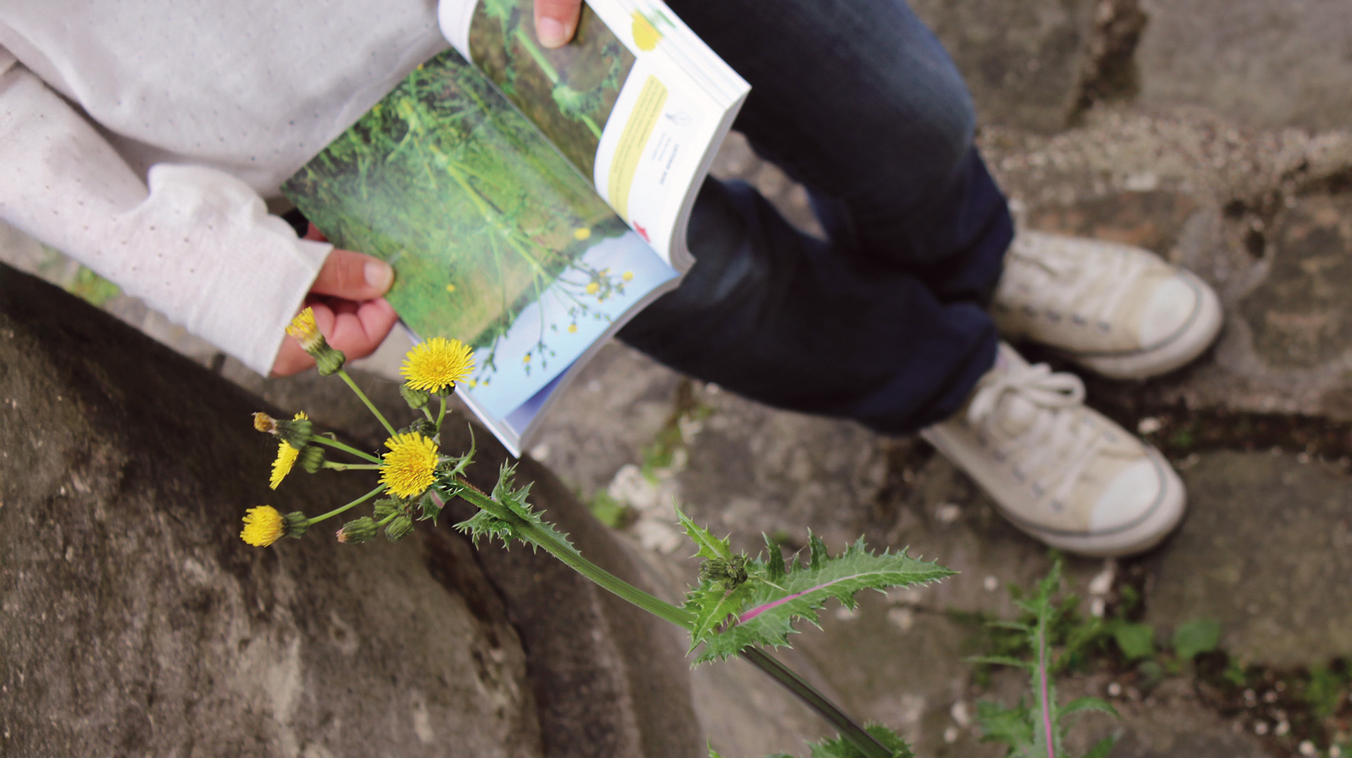 Font-elles vraiment avancer la recherche ? | Espace des sciences