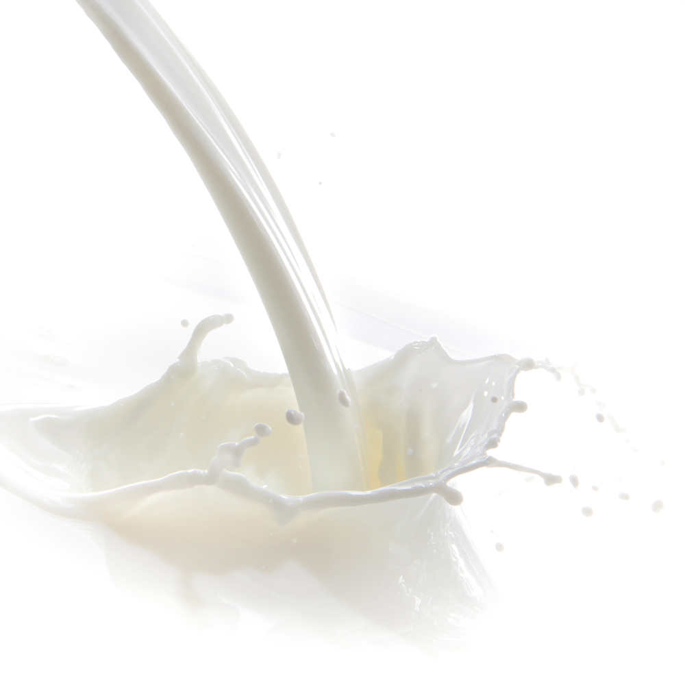 Le lait, source d’innovations | Espace des sciences