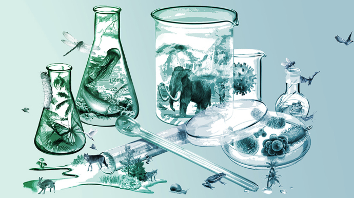 Rennes | Espace des sciences