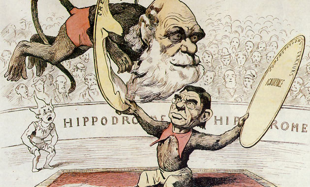 La face cachée de Darwin | Espace des sciences